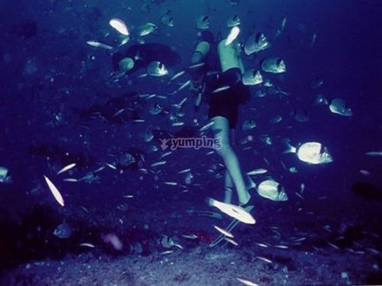 Frala, prezzi e prenotazioni 2025 | Yumping