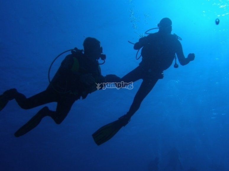 Lorenzo Sub, prezzi e prenotazioni 2025 | Yumping