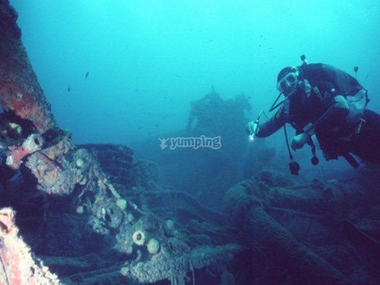 Diving Nord Adriatico, prezzi e prenotazioni 2026 | Yumping
