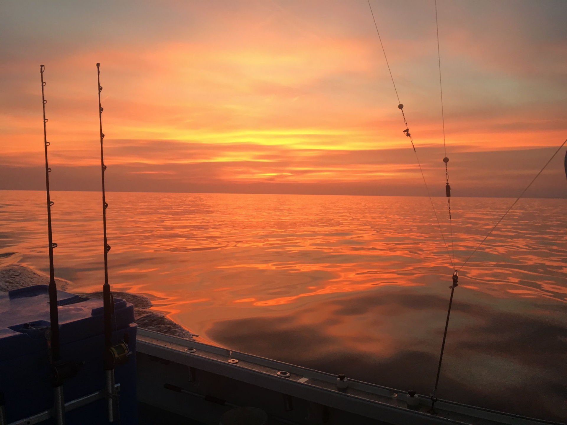 Charter, Tour di pesca Liguria: 12 prezzi e offerte 2026 | Yumping