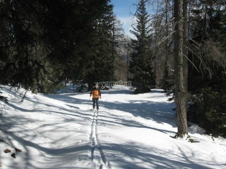 Guida Alpina Stefano Michelazzi, precios y reservas 2025 | Yumping