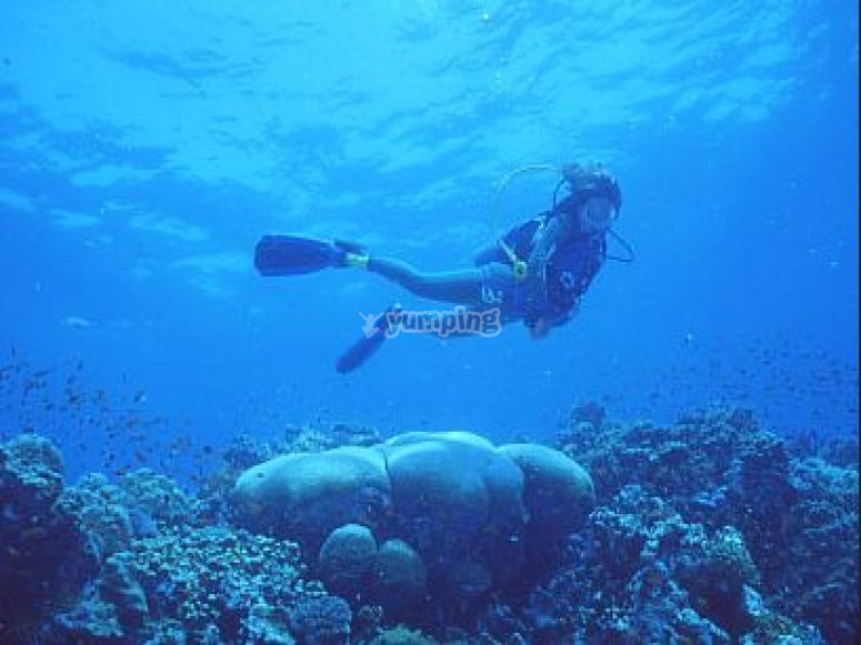 Scuba Diving Station, prezzi e prenotazioni 2025 | Yumping