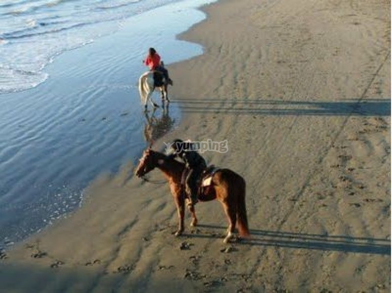 Novani Ranch, prezzi e prenotazioni 2025 | Yumping