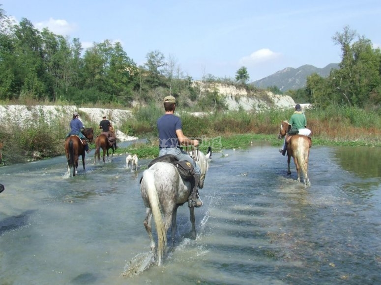 HorseBack Ca' Maddalena, prezzi e prenotazioni 2025 | Yumping